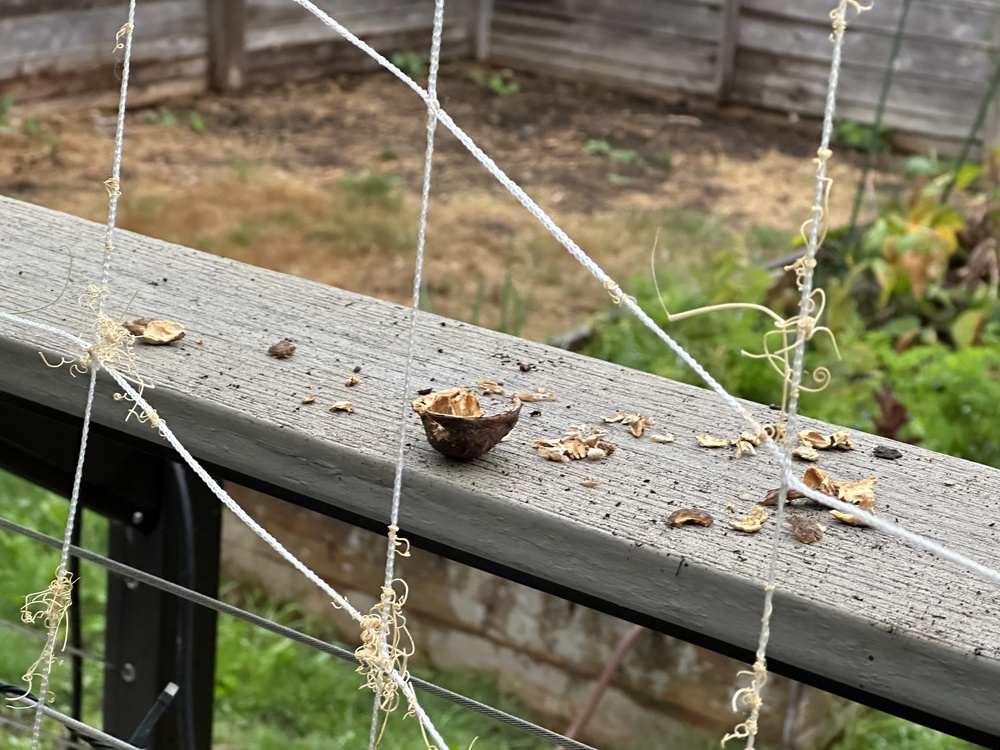 John Romkey (@romkey@mstdn.social) - Mastodon 🐘