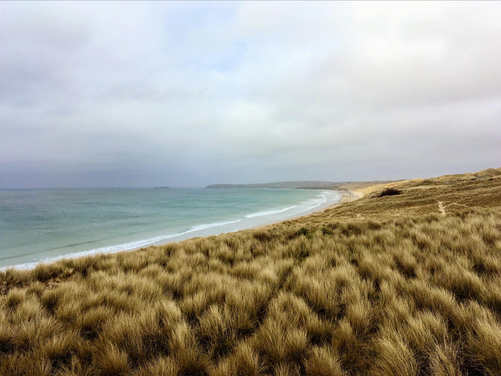 Dr Caitlin Green (@caitlinrgreen@mstdn.social) - Mastodon 🐘