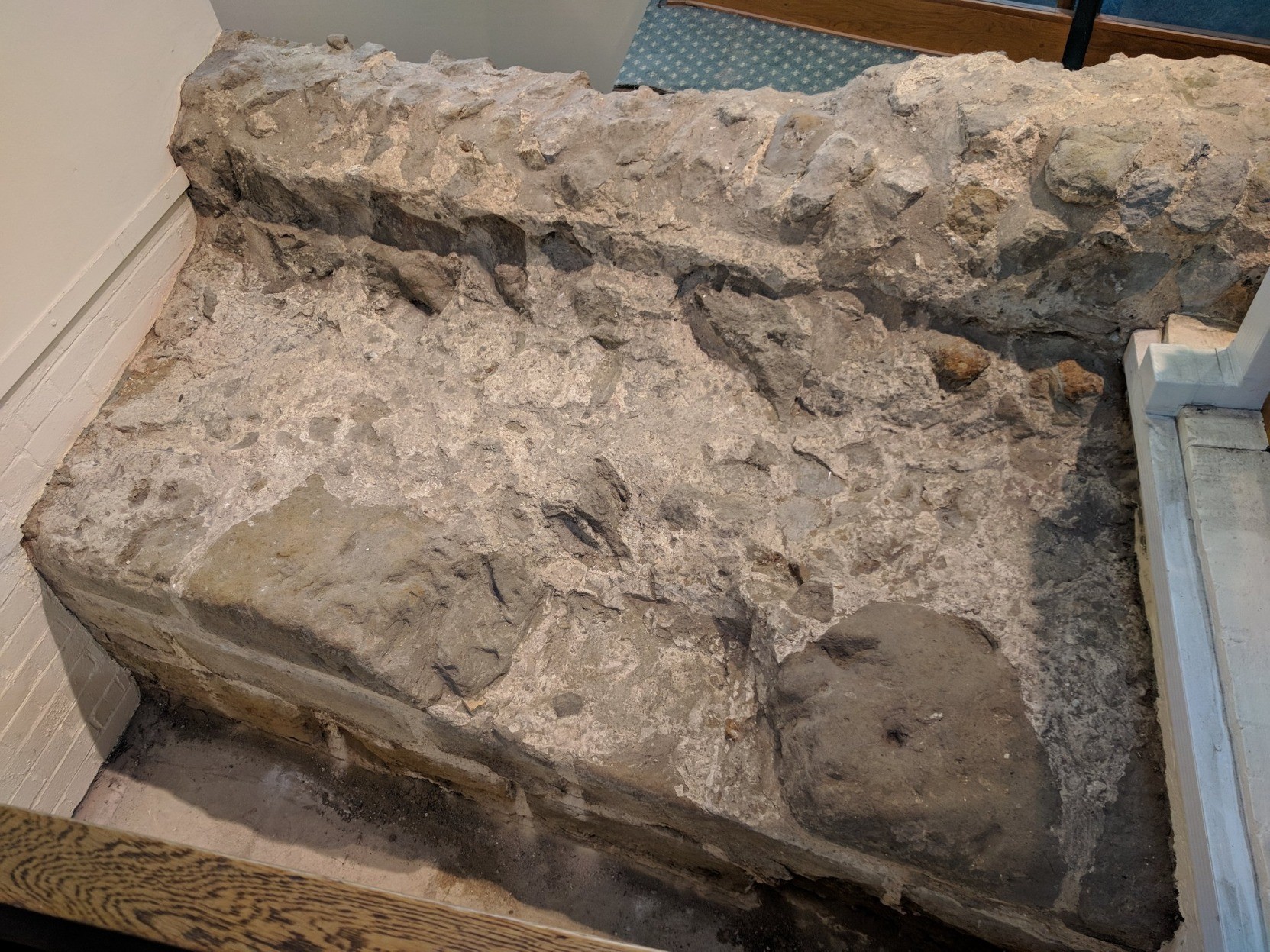 Dr Caitlin Green (@caitlinrgreen@mstdn.social) - Mastodon 🐘