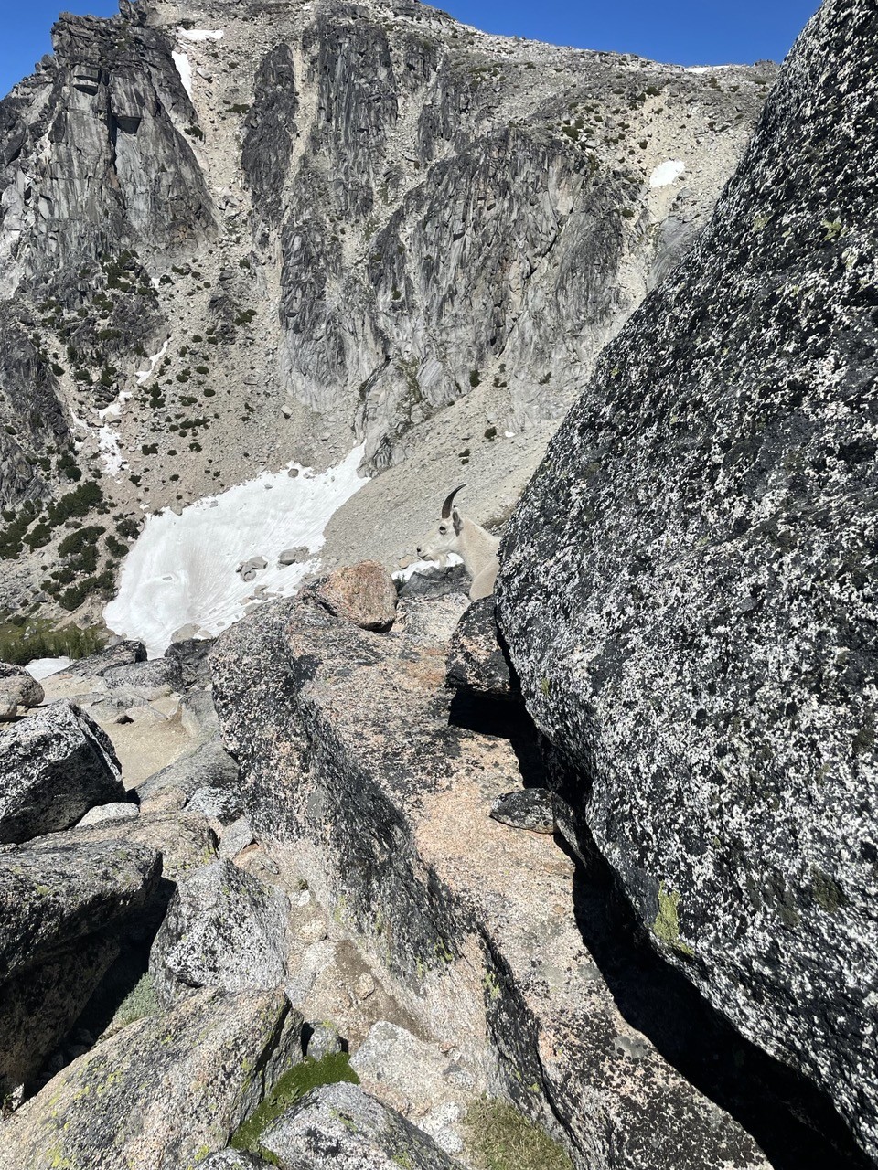 Bill Trinen (@trintran@mstdn.social) - Mastodon 🐘