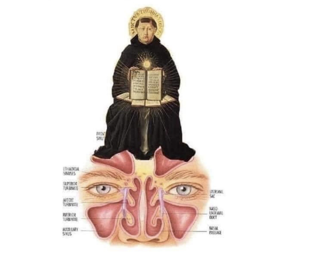 phil_lol_ogist (@phil_lol_ogist@mstdn.social) - Mastodon 🐘