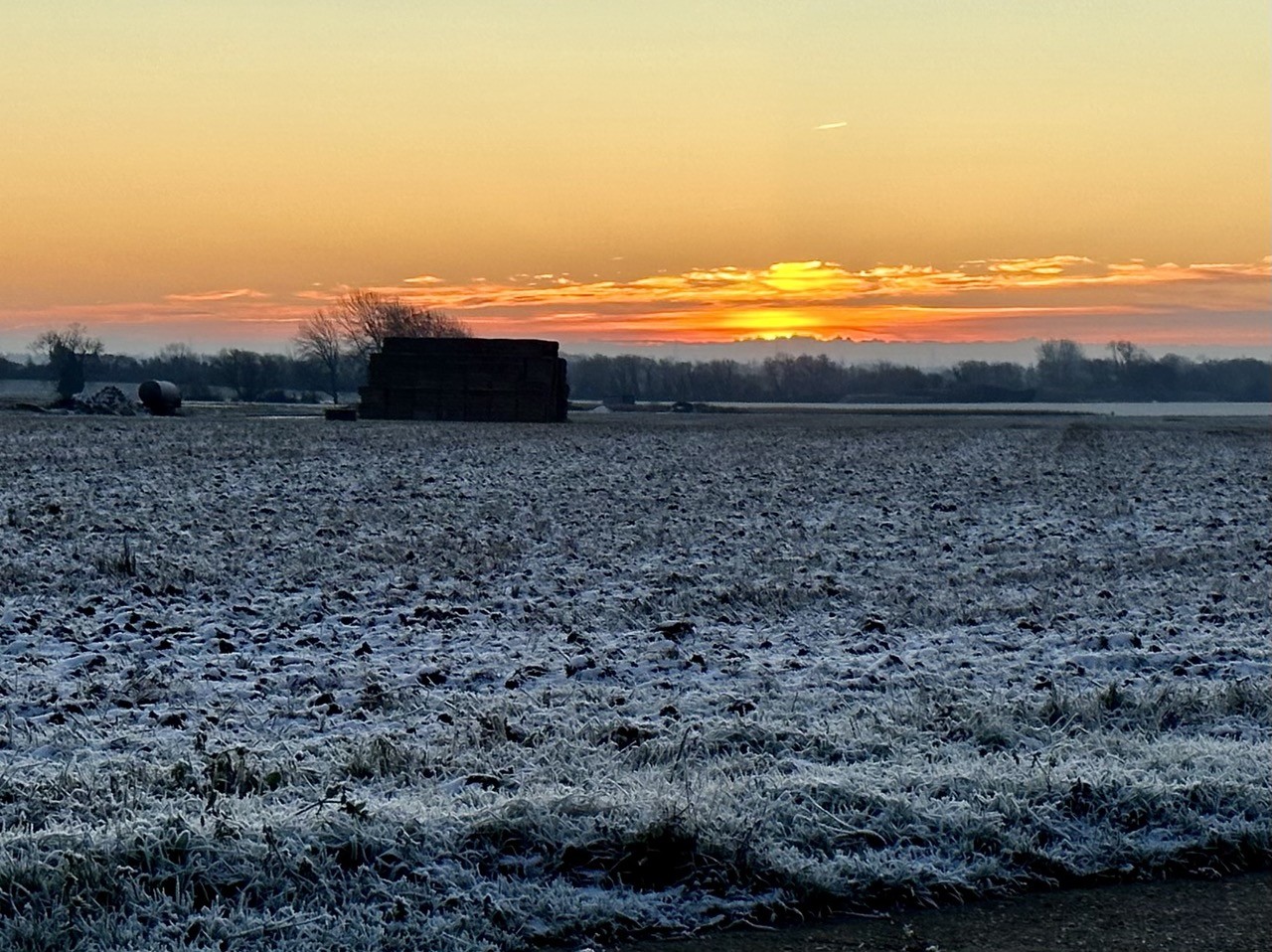 Andy Brunning (@ndbrning@mstdn.social) - Mastodon 🐘