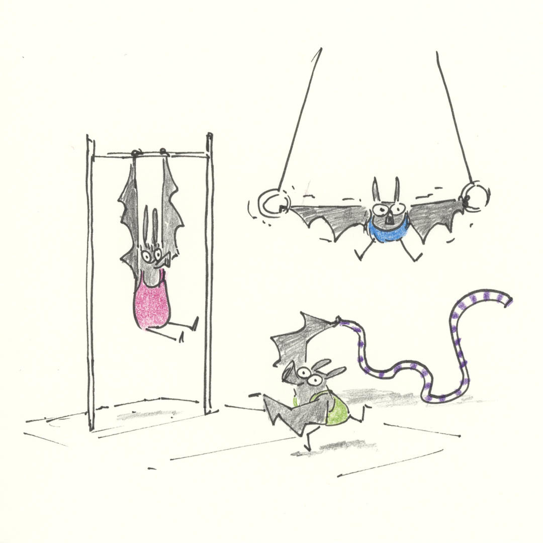 Grickle (@grickle@mstdn.social) - Mastodon 🐘