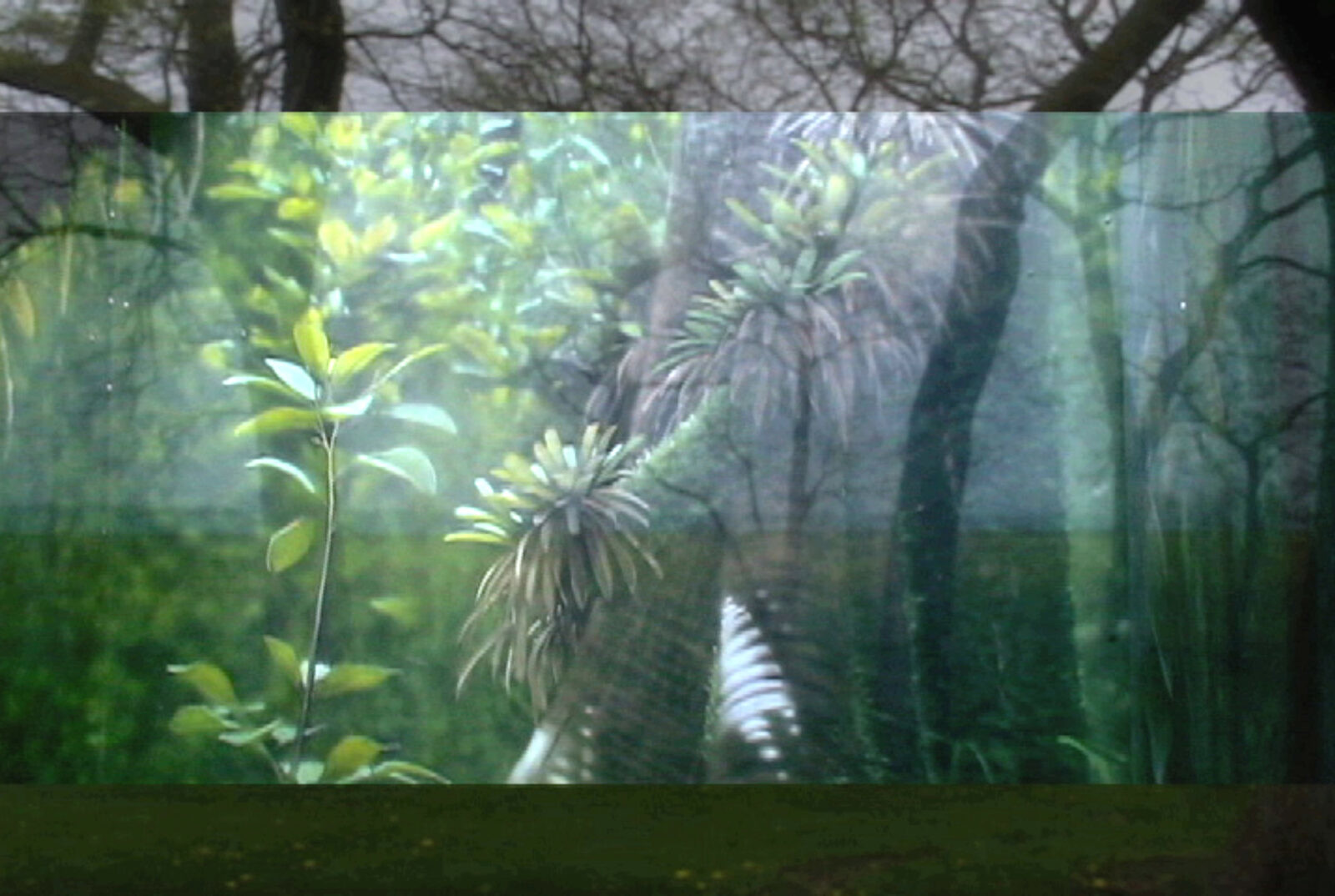 transmediale (@transmediale@mstdn.social) - Mastodon 🐘