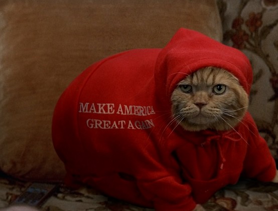 TAKE ONE Magazine 🎥 🎞️ (@TAKEONECinema@mstdn.social) - Mastodon 🐘