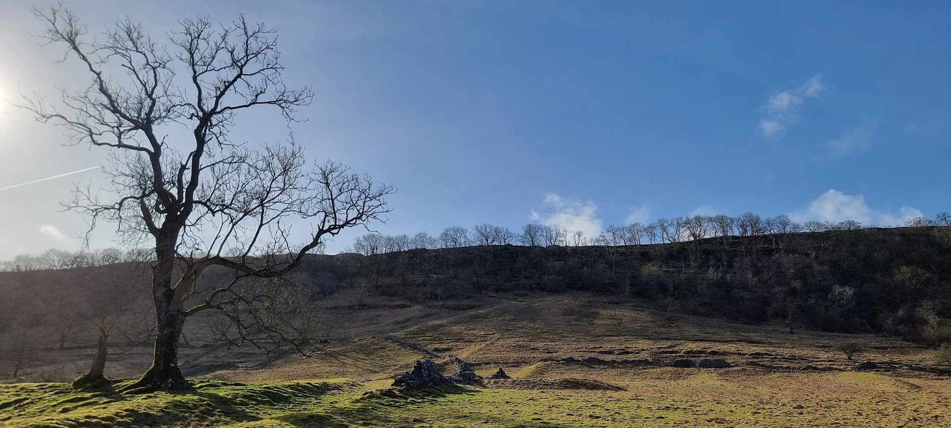 Roaming The Paths (@roaming_the_paths@mastodon.green) - Mastodon.green