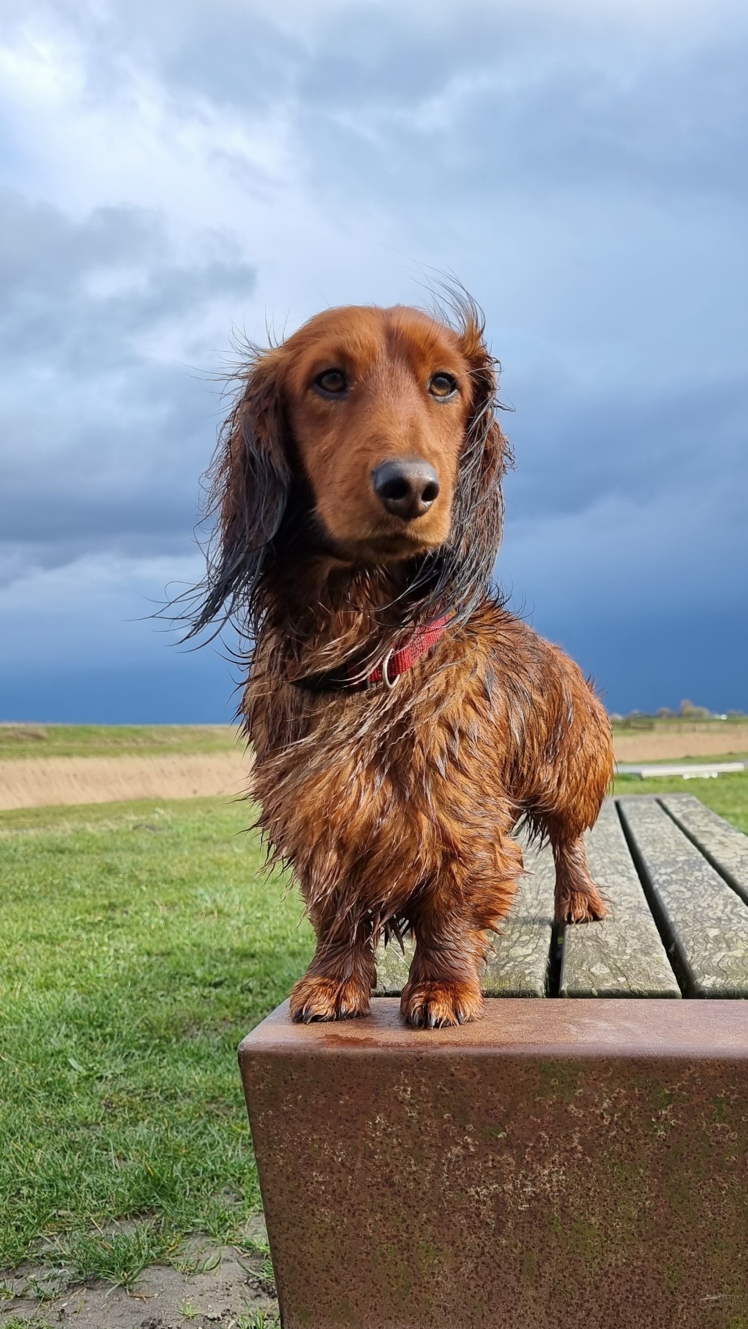 Ton Roosendaal 🔶 (@tonroosendaal@mstdn.social) - Mastodon 🐘