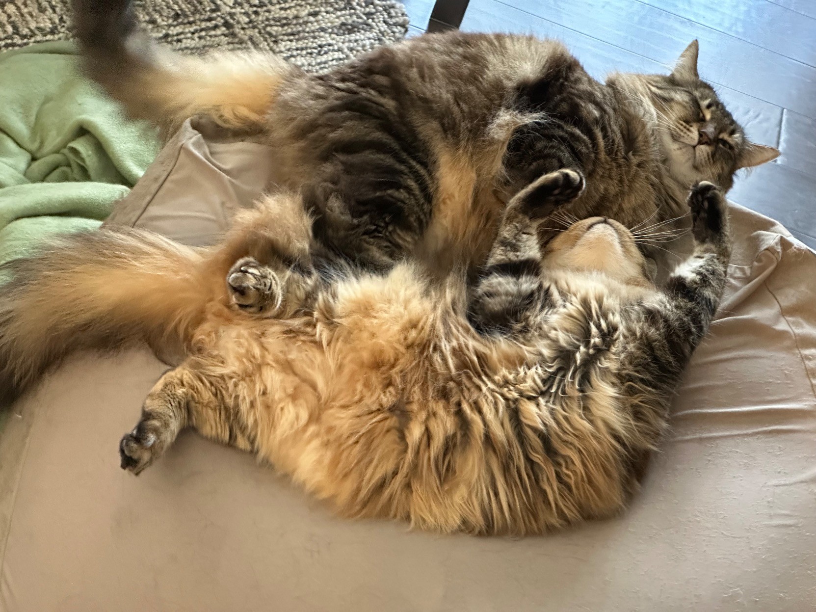 John Romkey (@romkey@mstdn.social) - Mastodon 🐘