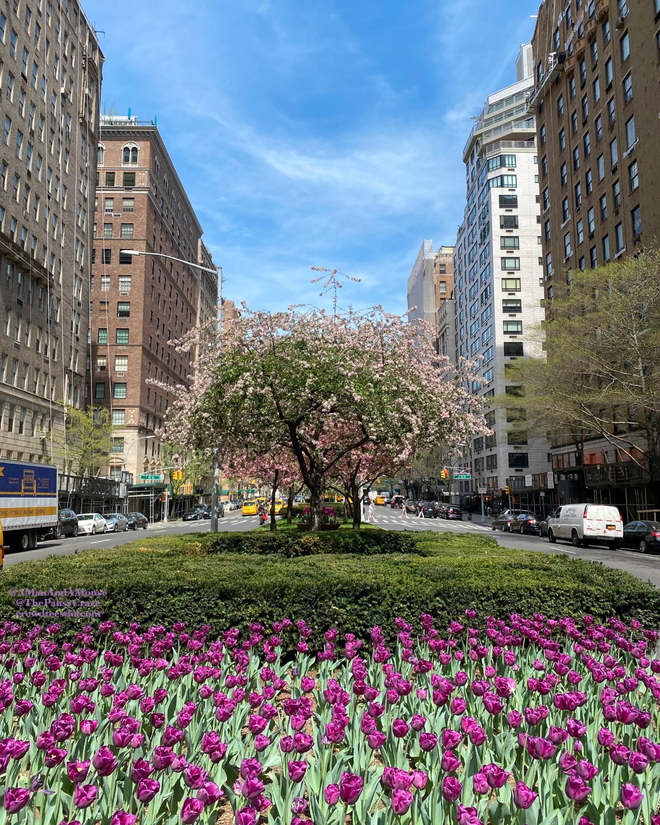 Park Avenue Flowers | Best Flower Site