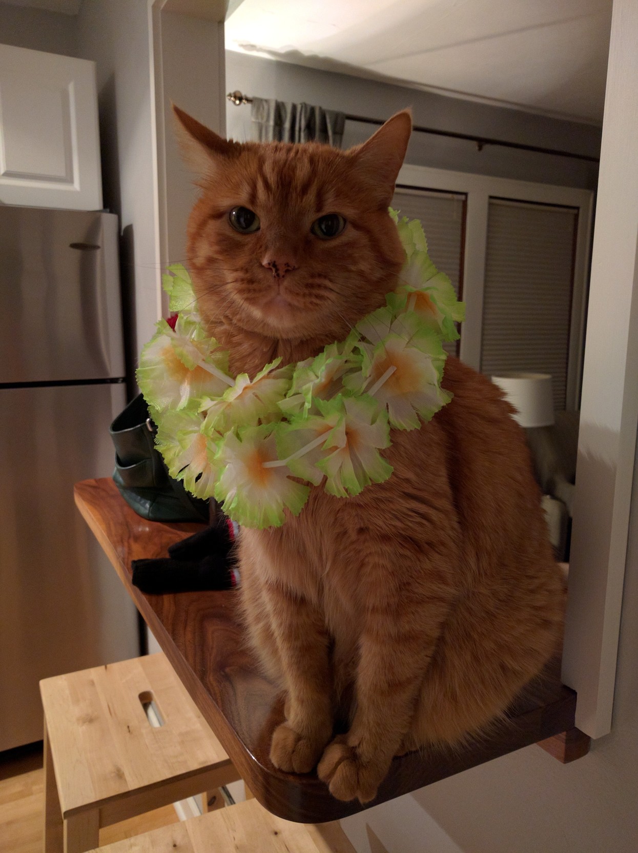 Mike Swanson (@mikeswanson@mstdn.social) - Mastodon 🐘