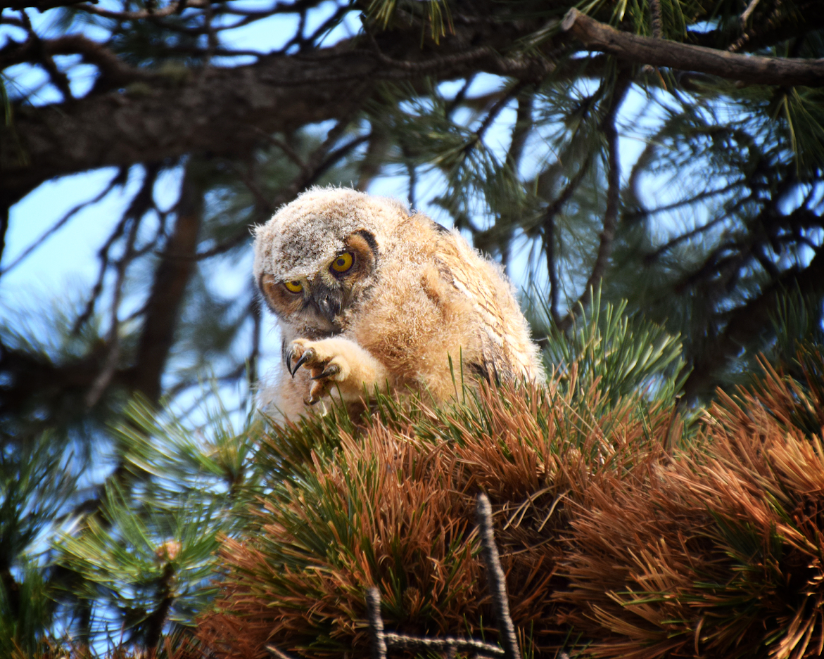 Andrew Bellware (@abellware@mstdn.social) - Mastodon 🐘