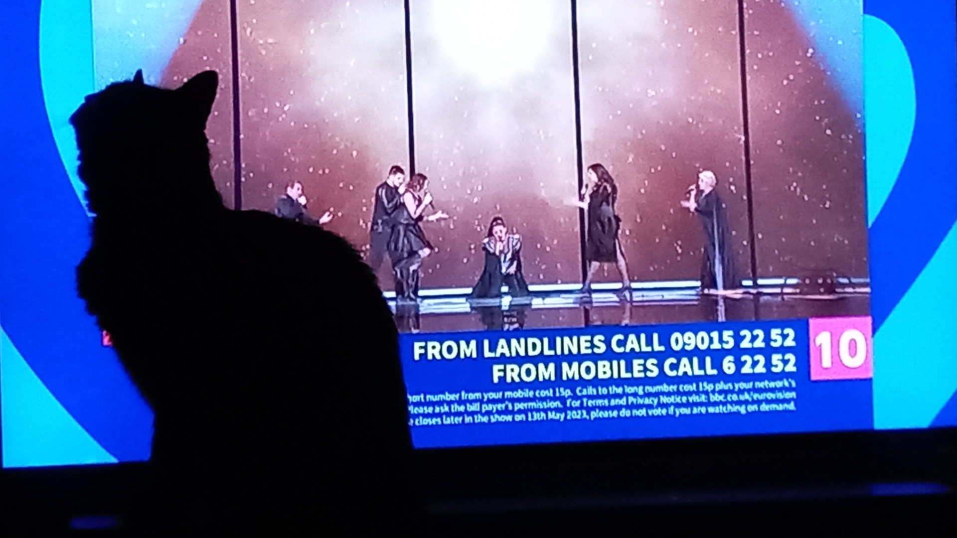 Jenny (@JustJenny@mstdn.social) - Mastodon 🐘