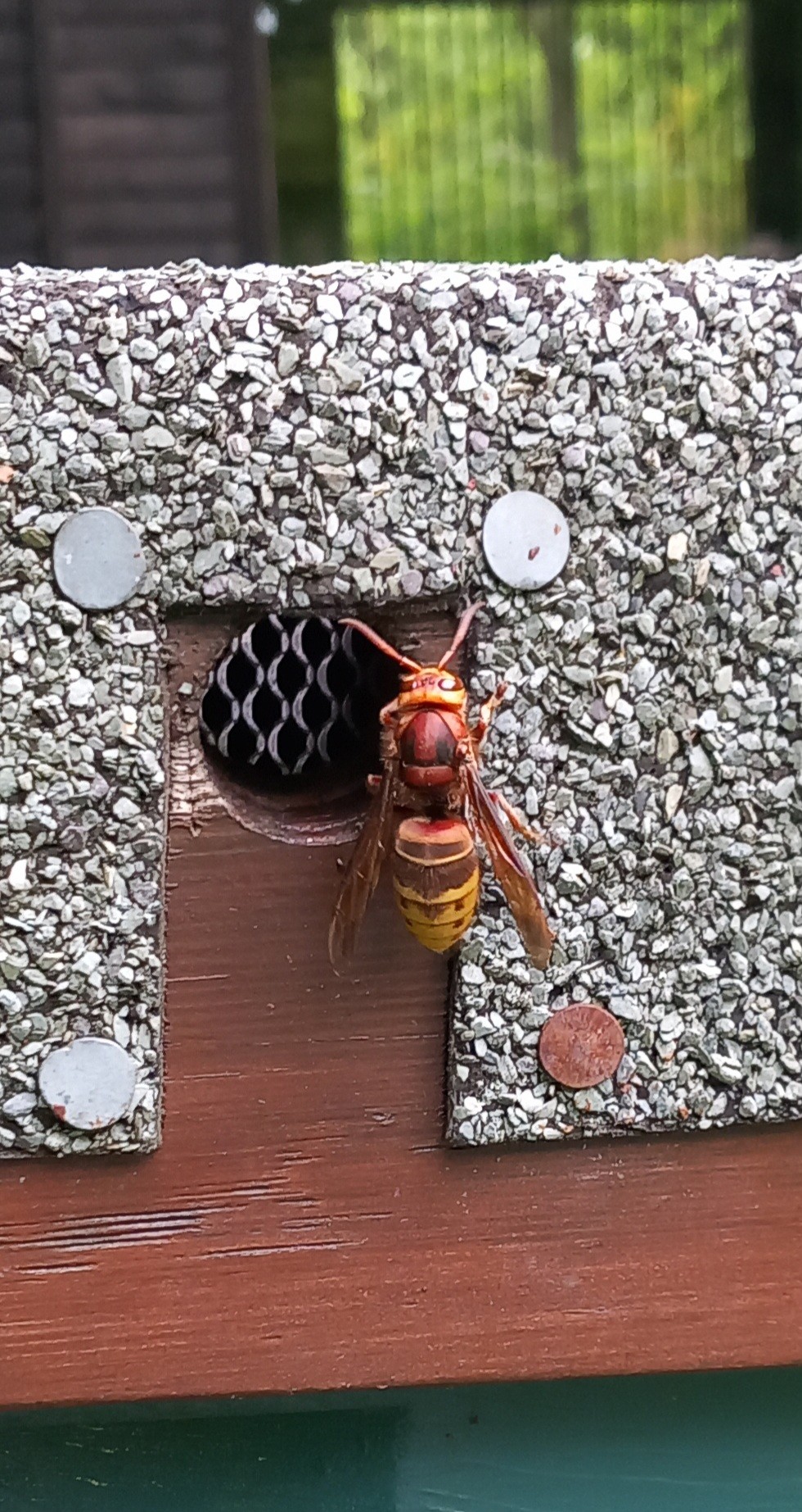 Jenny (@JustJenny@mstdn.social) - Mastodon 🐘