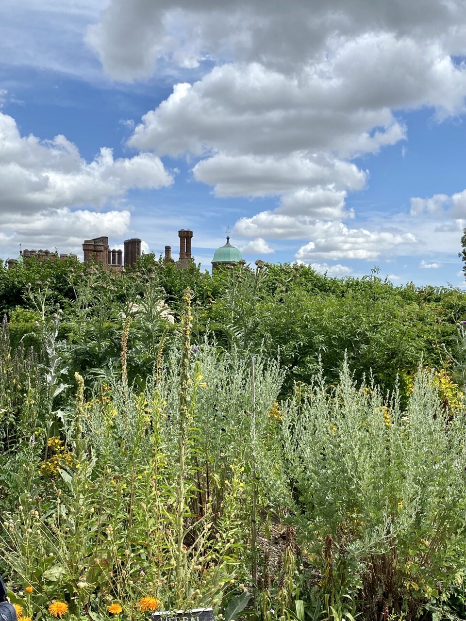 Una McCormack (@unamccormack@mstdn.social) - Mastodon 🐘