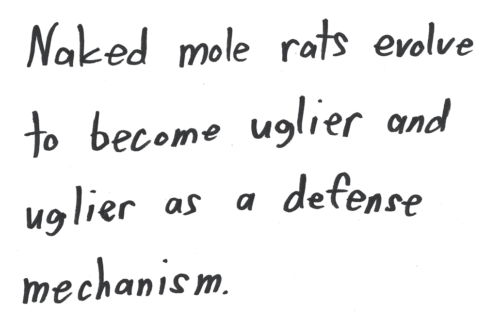 Steven Sparrow (@theothersparrow@mastodon.social) - Mastodon