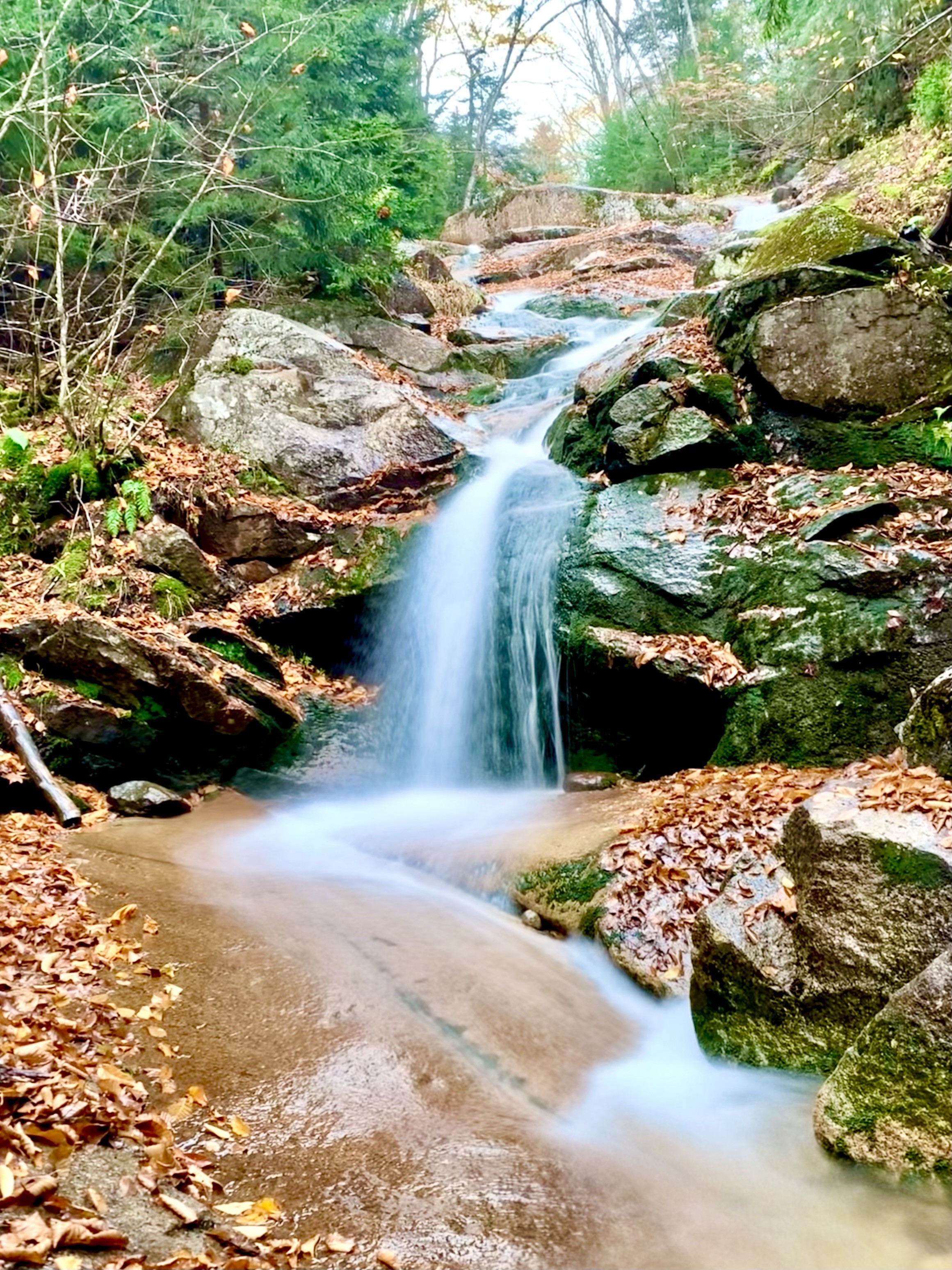 Tim Stanton (@TimKStanton@mstdn.social) - Mastodon 🐘