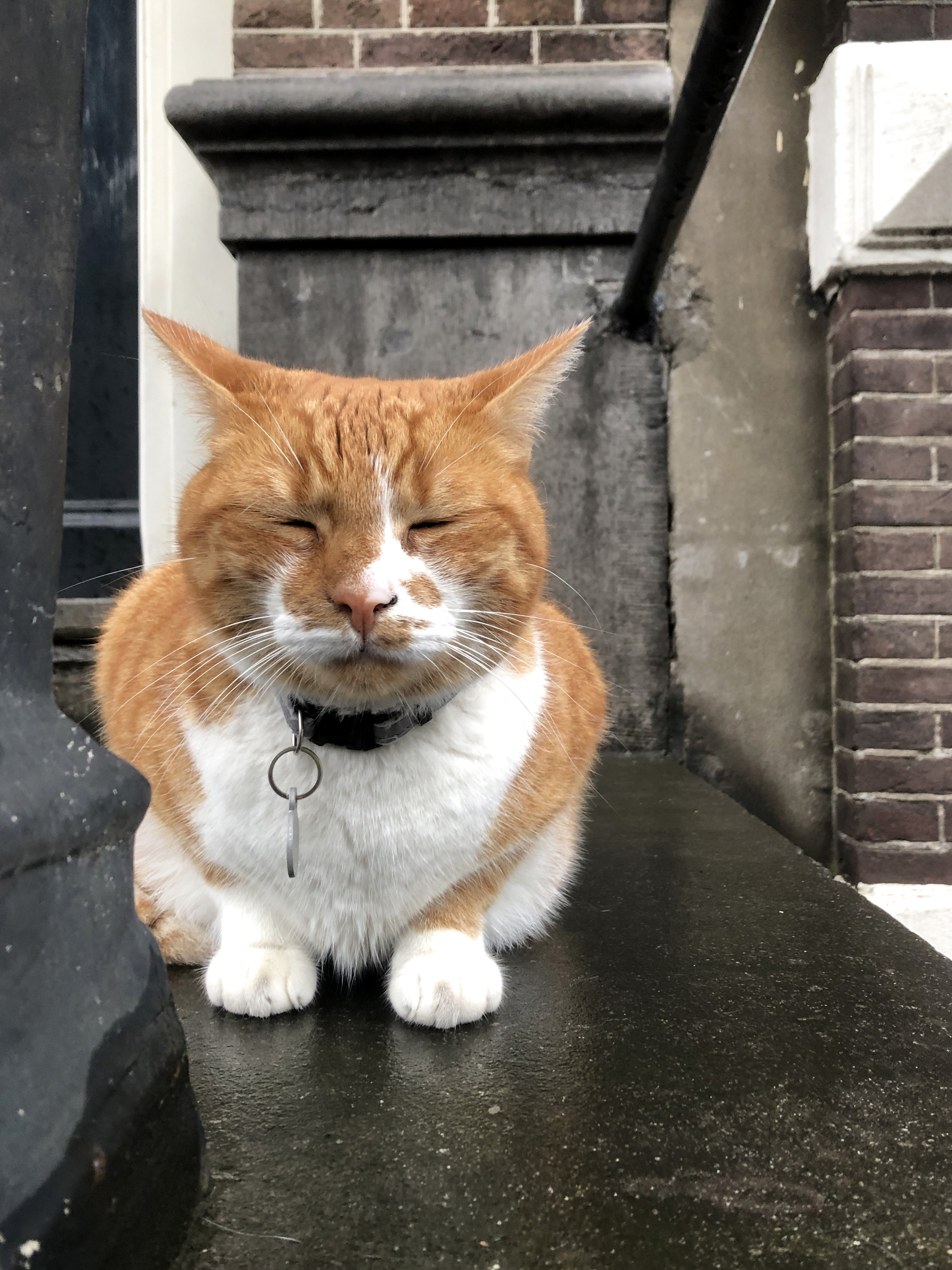 Blank Frank (@blankfrank@mstdn.social) - Mastodon 🐘