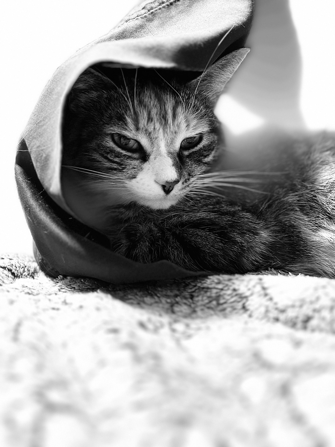 mnda (@mnda@mstdn.social) - Mastodon 🐘