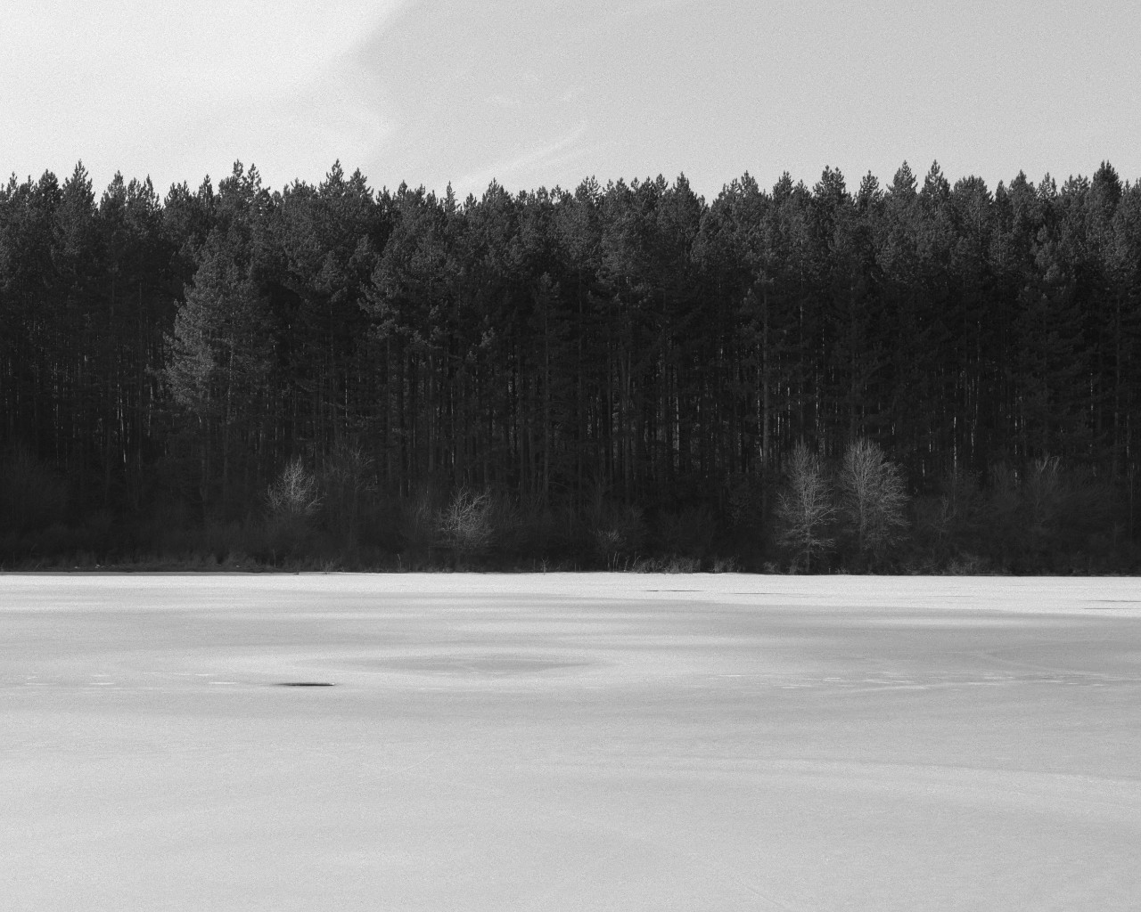 Rado (@notimefortv@mstdn.social) - Mastodon 🐘