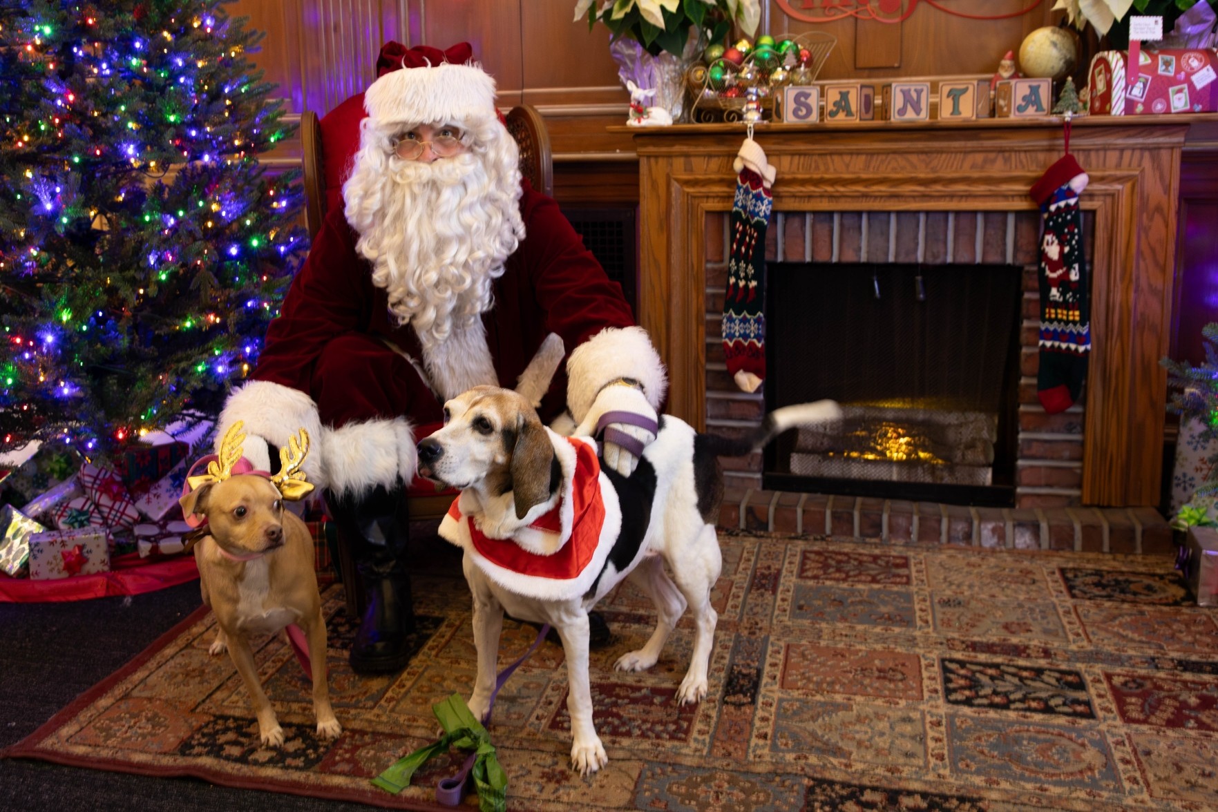 Mike's Mets (@MikesMets@mstdn.social) - Mastodon 🐘