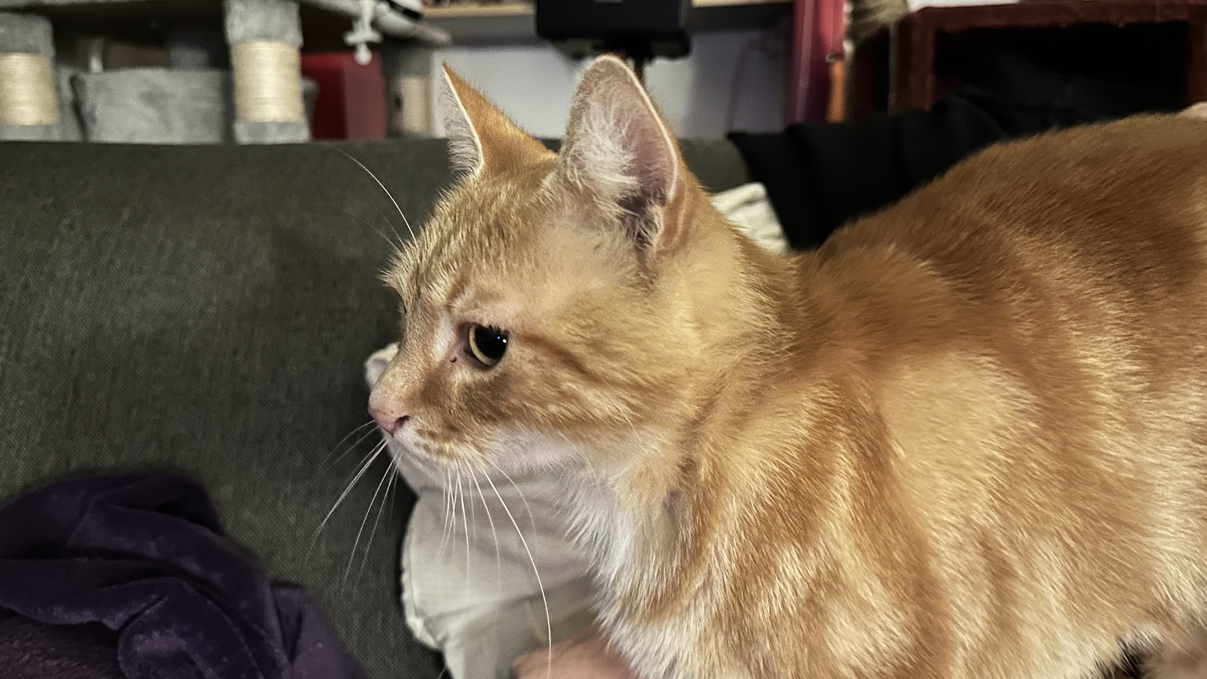 𝘀𝘁𝘂𝘅☀️ (@stux@masto.ai) - Mastodon