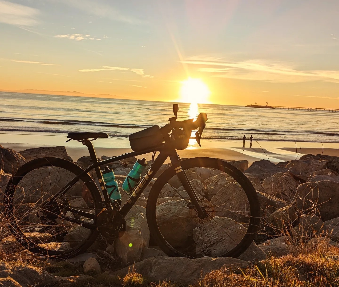 Nina By Nature (@716ninala@mstdn.social) - Mastodon 🐘