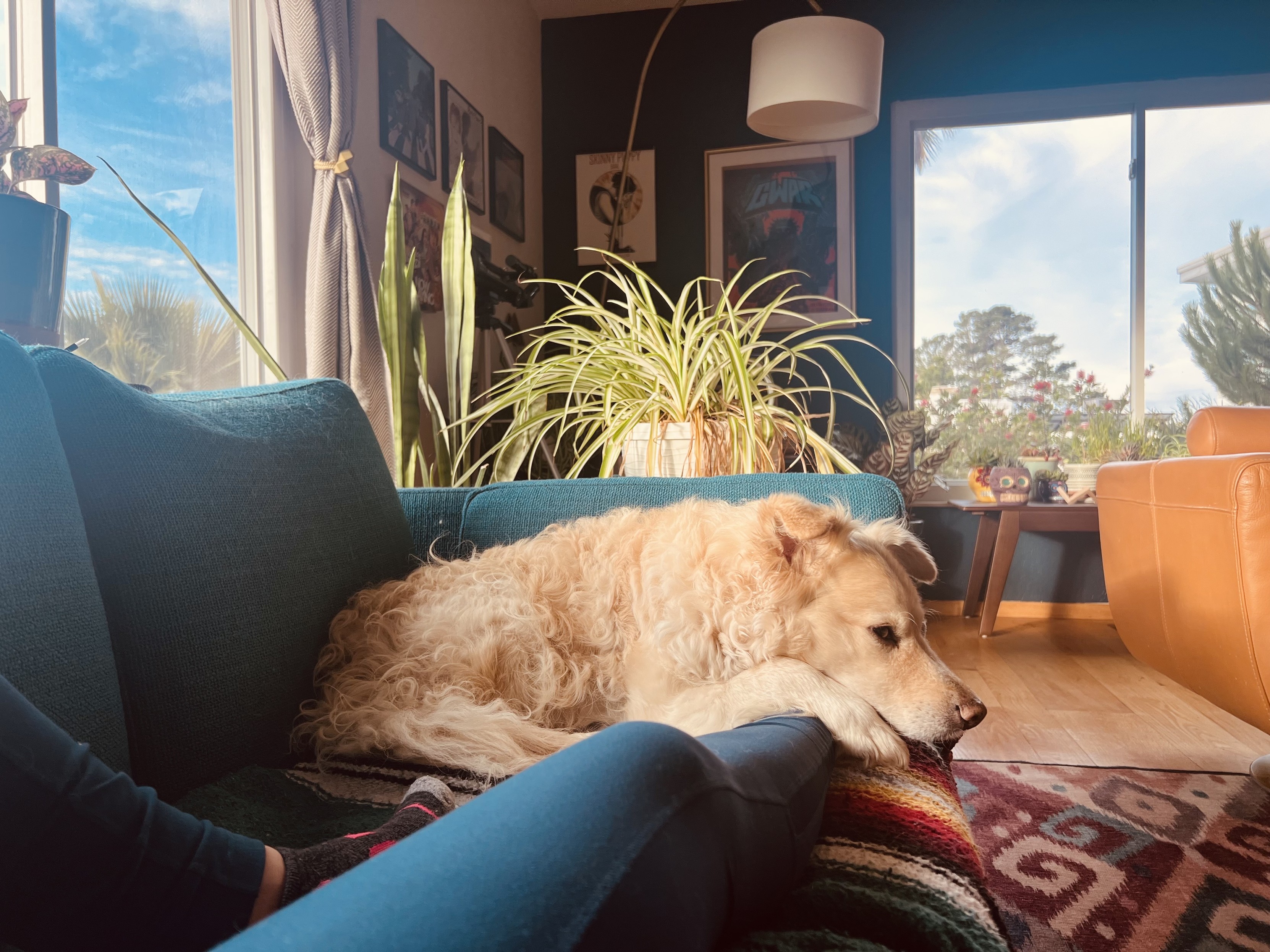 Rebecca Watson (@rebeccawatson@mstdn.social) - Mastodon 🐘