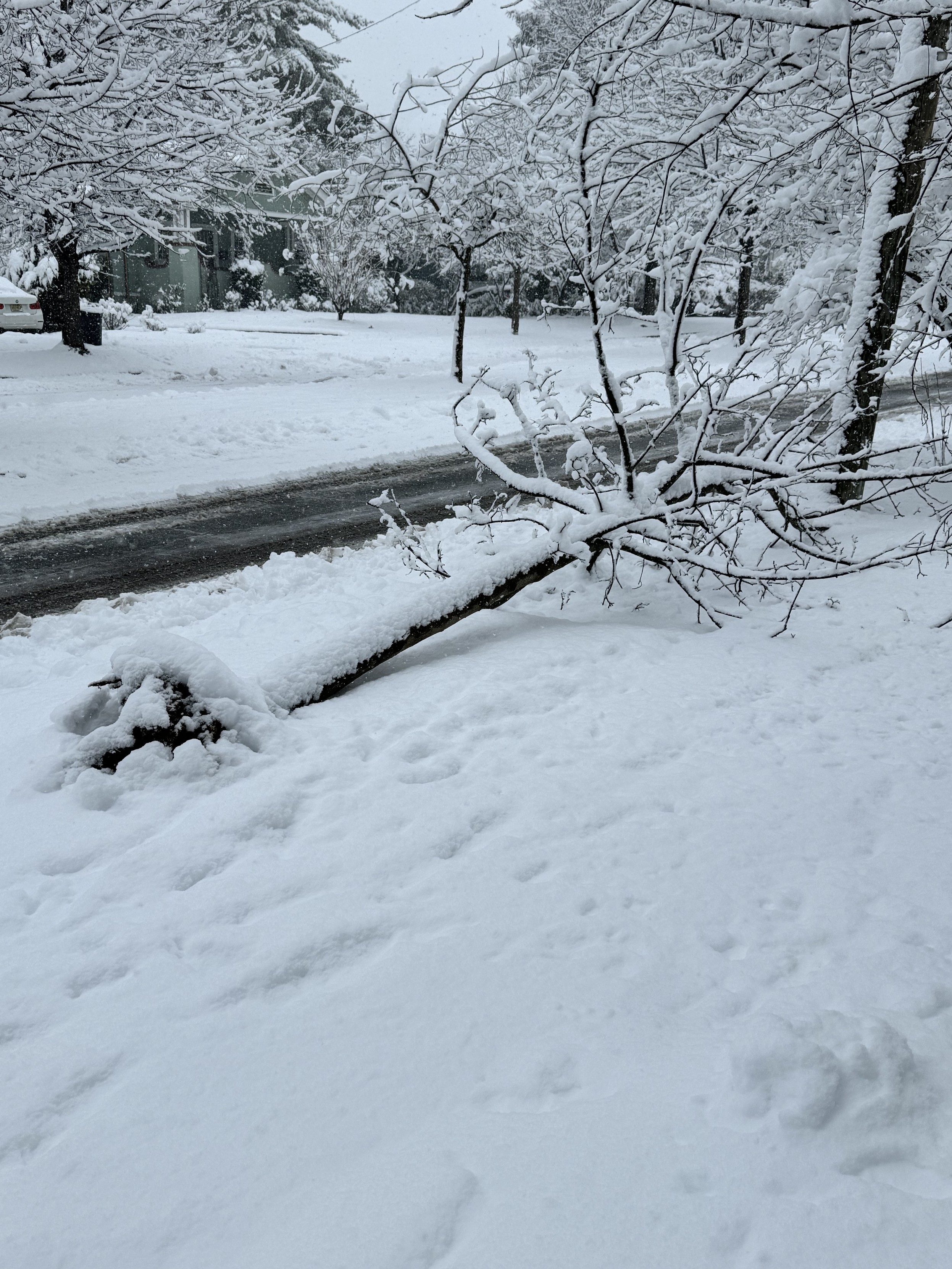 Josh Sternberg (@joshsternberg@mstdn.social) - Mastodon 🐘