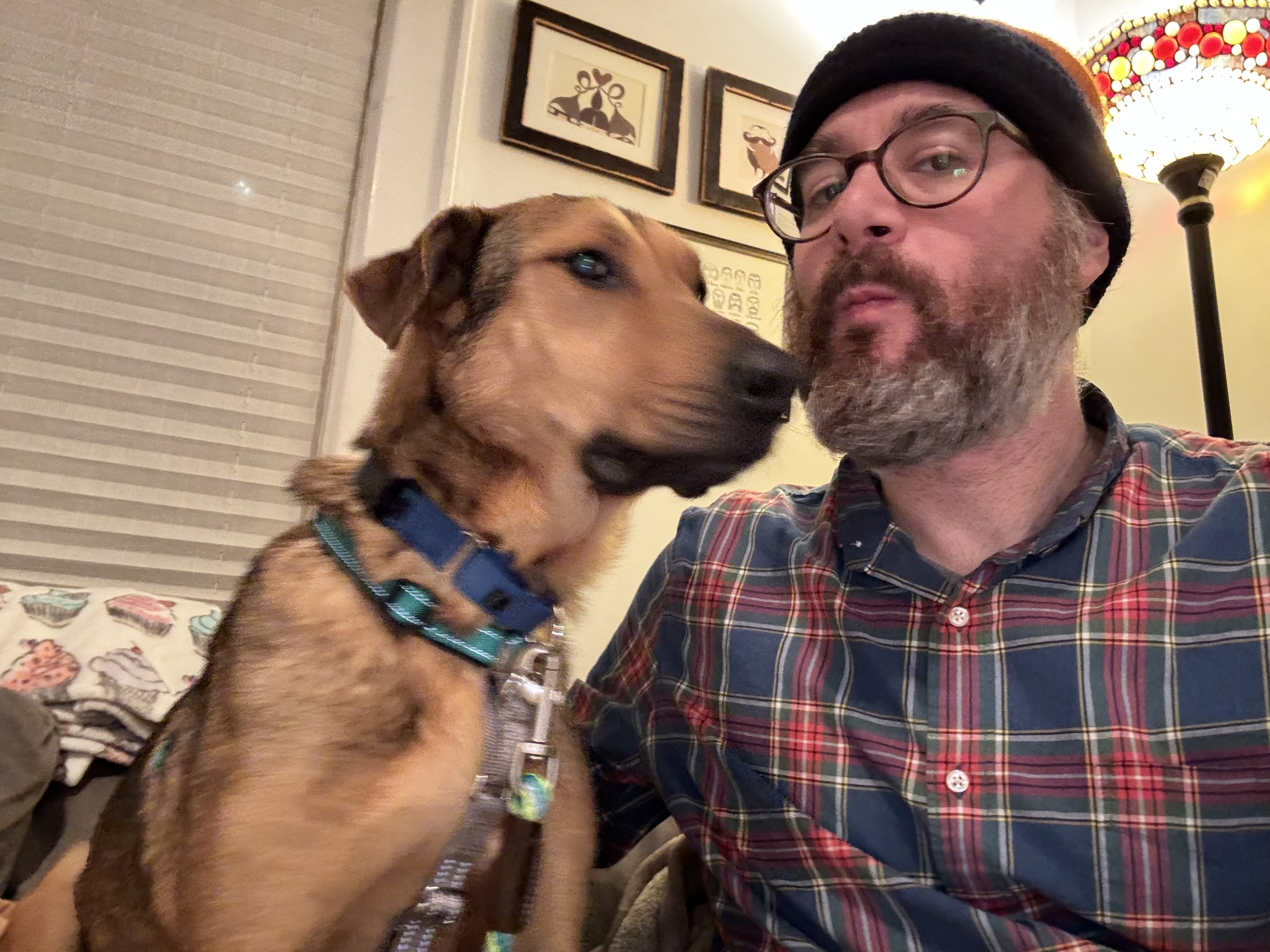 Josh Sternberg (@joshsternberg@mstdn.social) - Mastodon 🐘