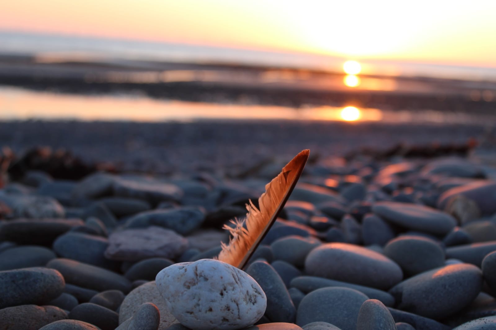 Space Is The Place Radio Show (@SpaceIsThePlace@mstdn.social) - Mastodon 🐘