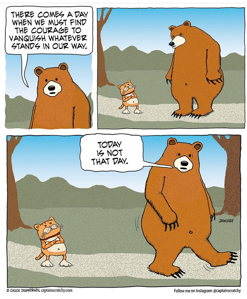 Stephen Farrow (@stephenfarrow@mstdn.social) - Mastodon 🐘