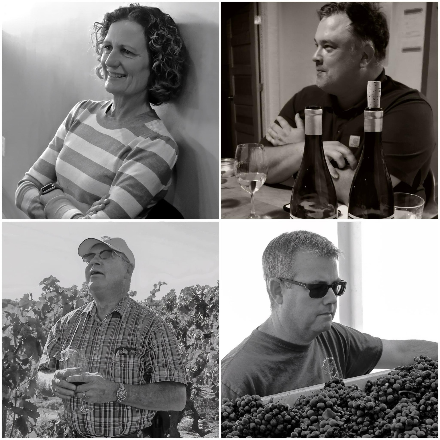 Markus Wine Co. (@MarkusWine@sfba.social) - SFBA.social