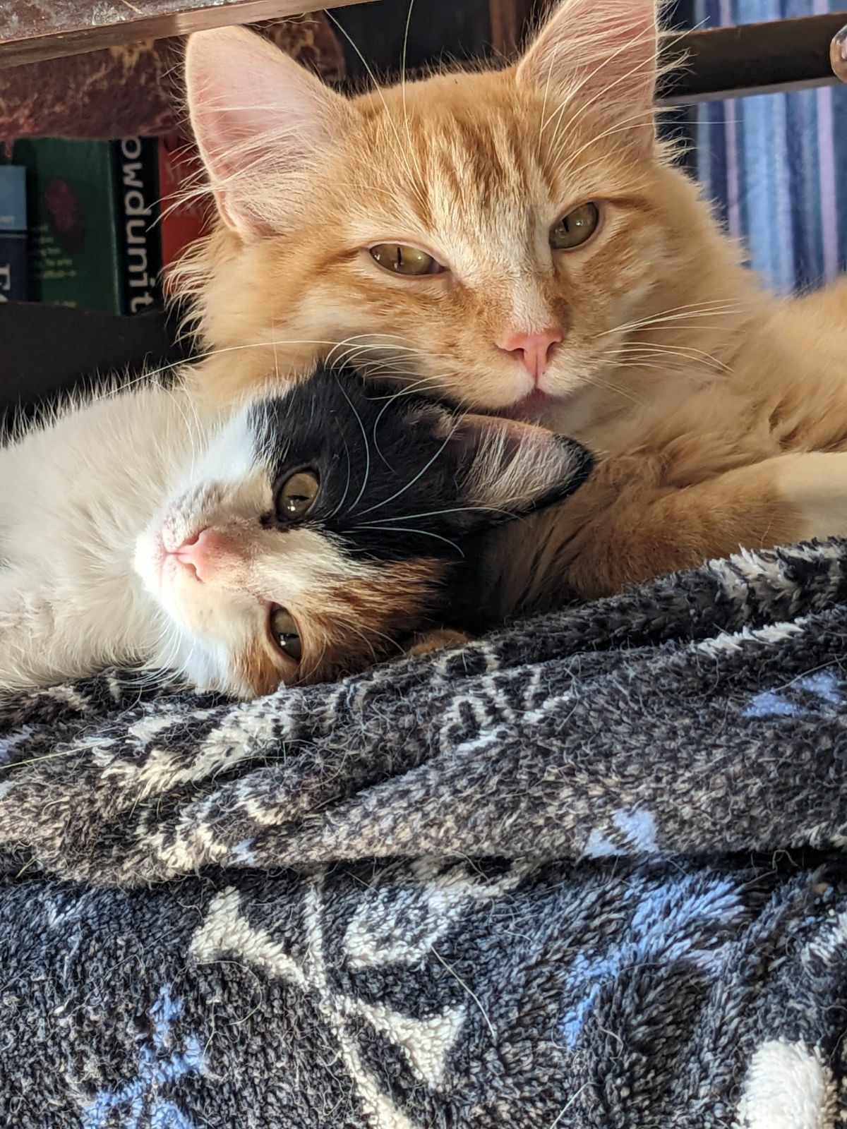 Lance Leonard (@lleonard@mstdn.social) - Mastodon 🐘