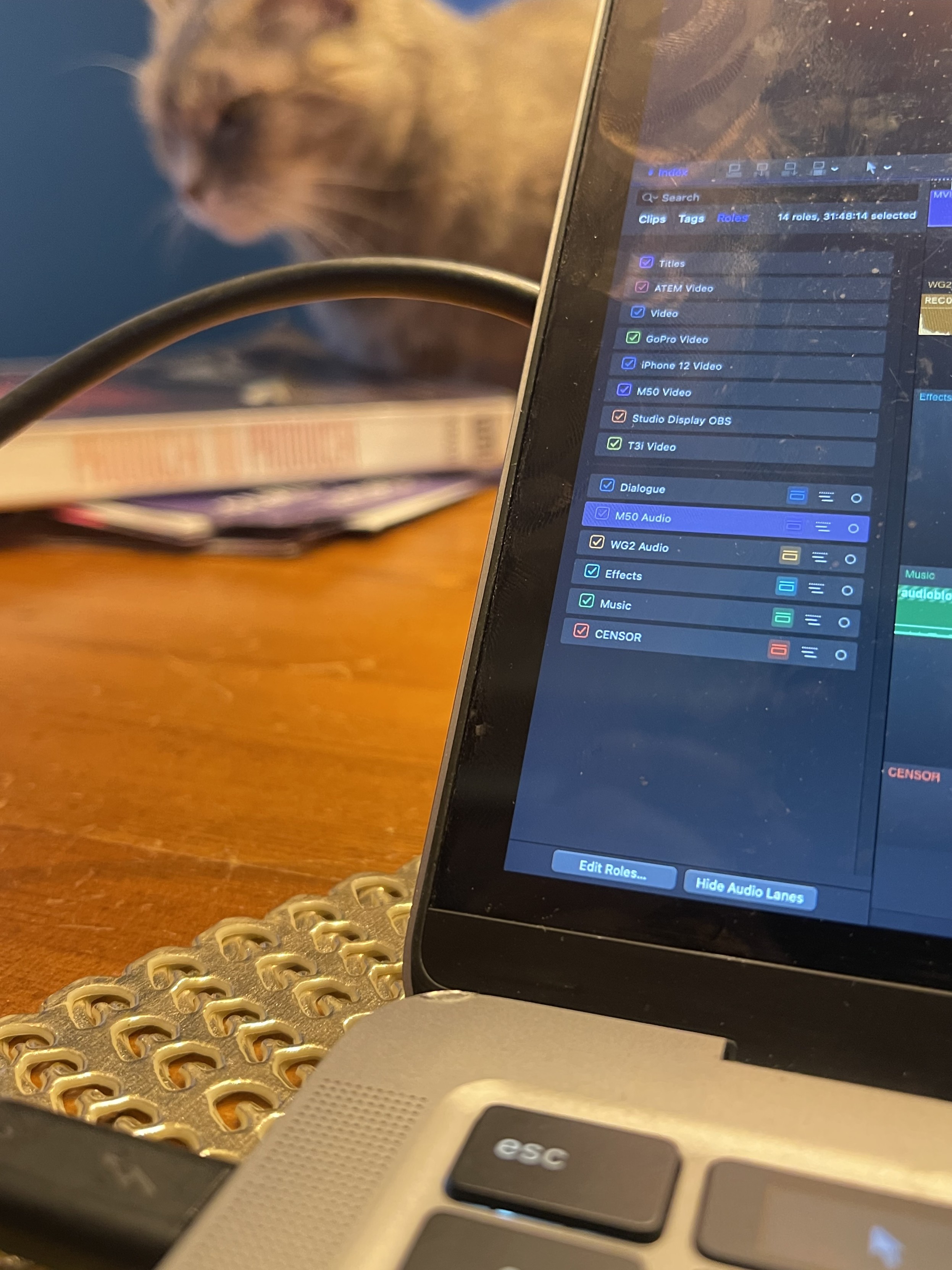 Jef Holbrook :apple_inc: (@jef@mstdn.social) - Mastodon 🐘